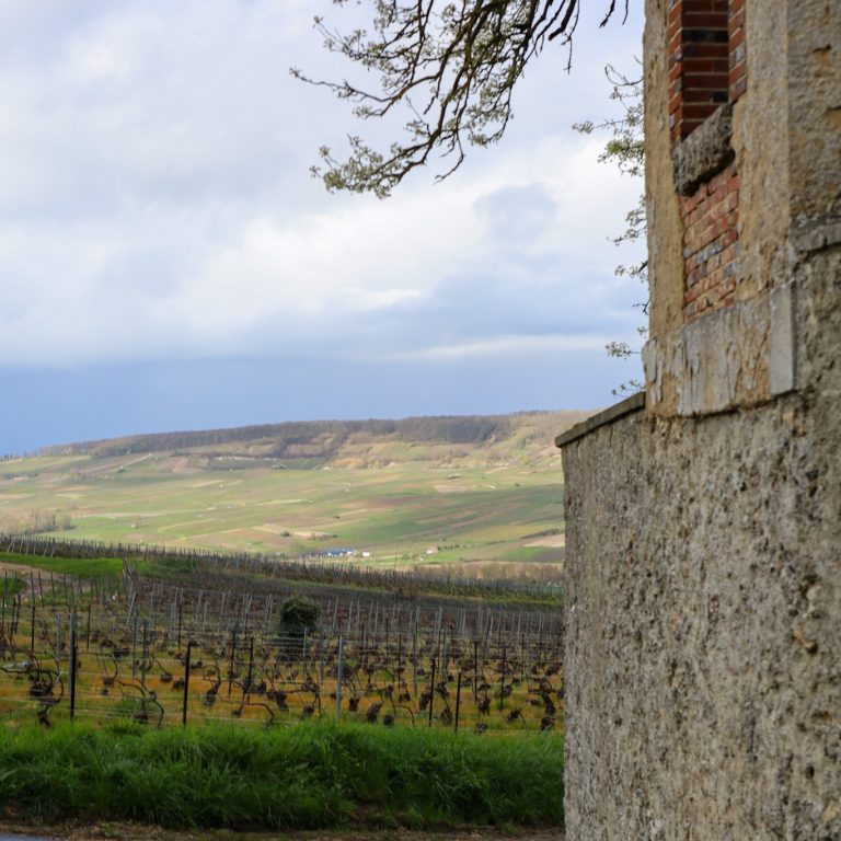48 Hours in Champagne - French Wine Tutor